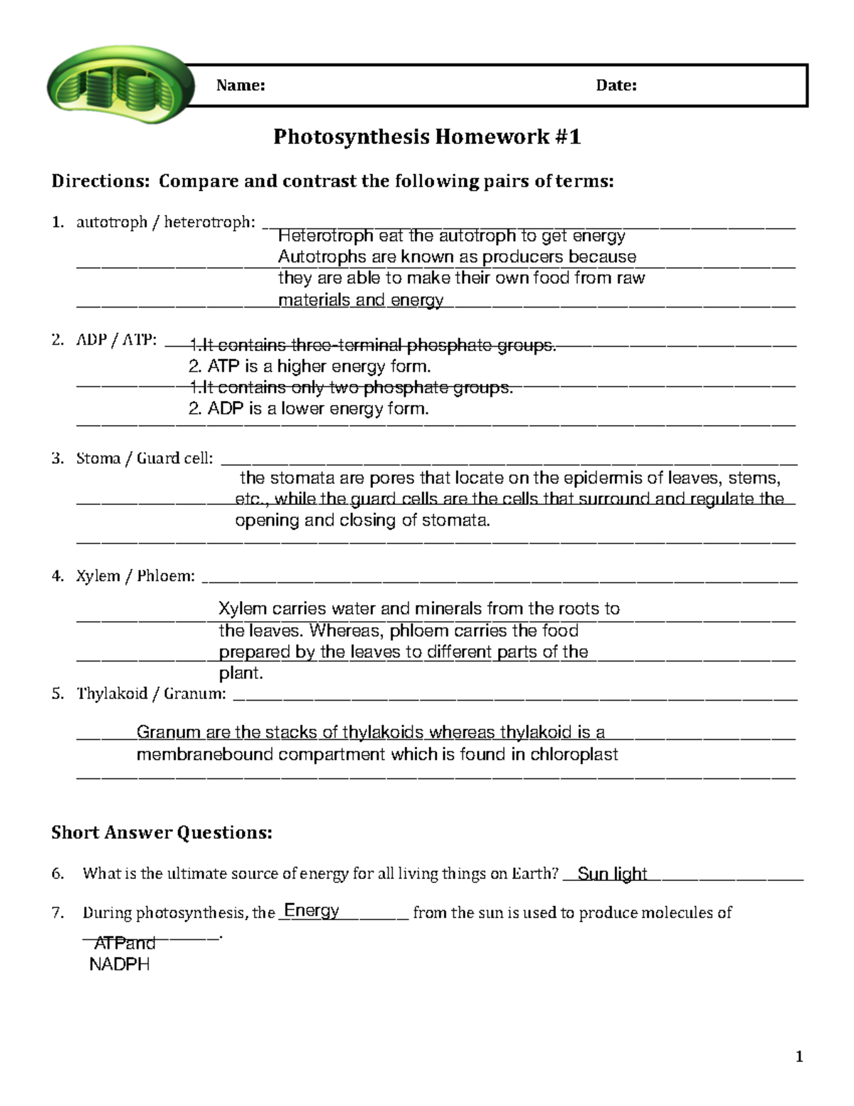 Download 3068653 - W lax ferda - © Amy Brown Science Photosynthesis ...