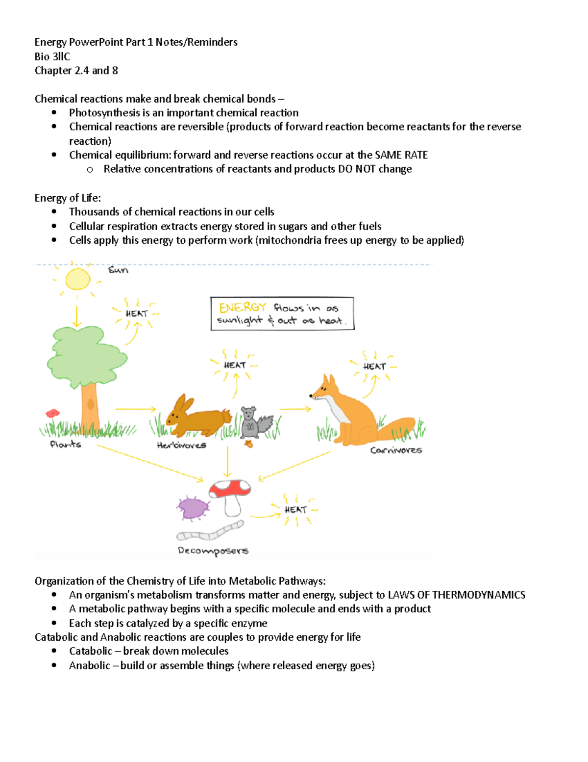 Energy Part 1 Power Point Notes - Energy PowerPoint Part 1 Notes ...
