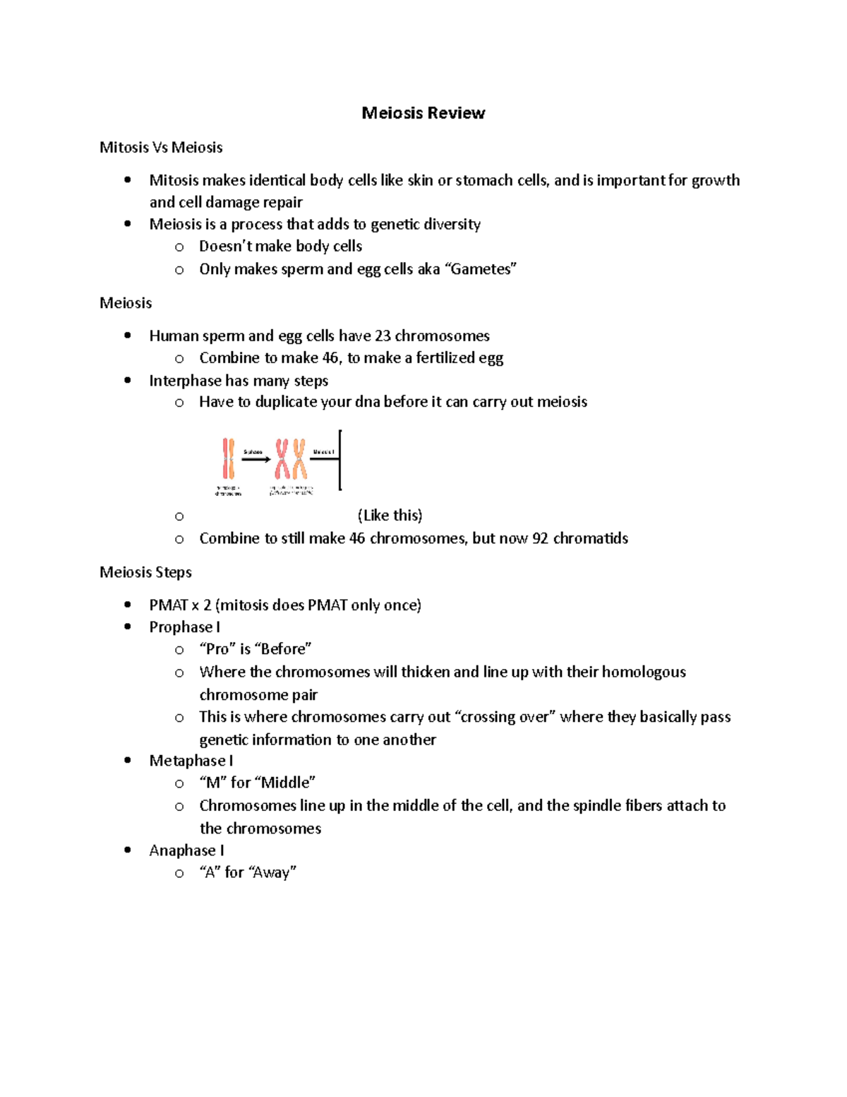 BIO 151- Meiosis - Notes - Meiosis Review Mitosis Vs Meiosis Mitosis ...