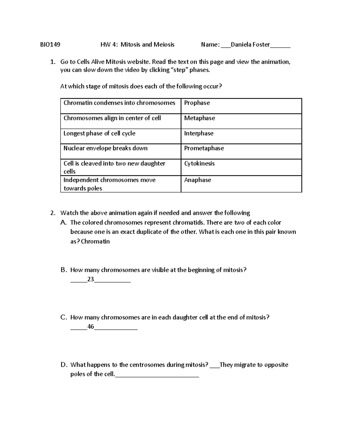 HW 4 Mitosis and Meiosis - Read the text on this page and view the ...