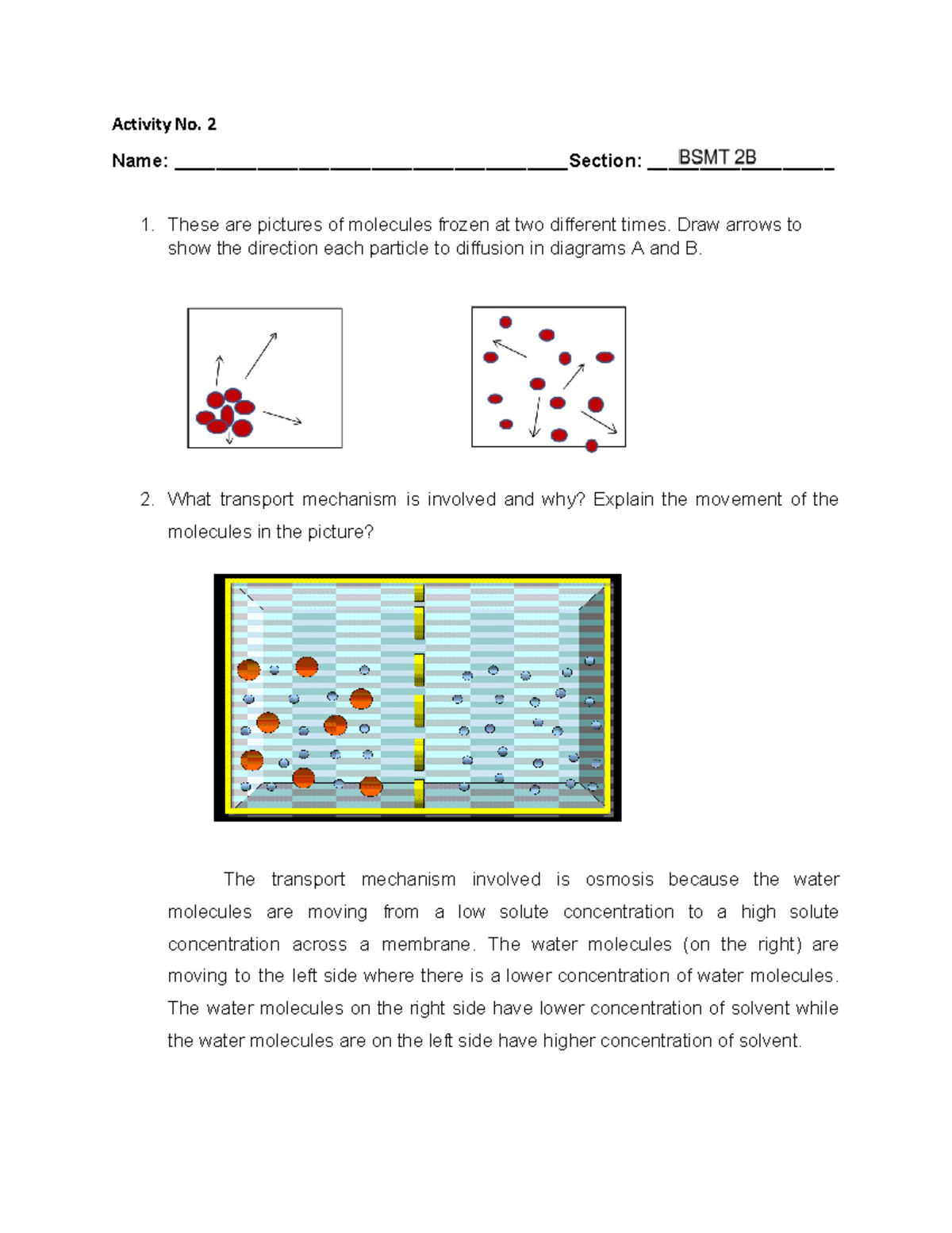 Activity No. 2 (Biochem Lab) - Activity No. 2 Name