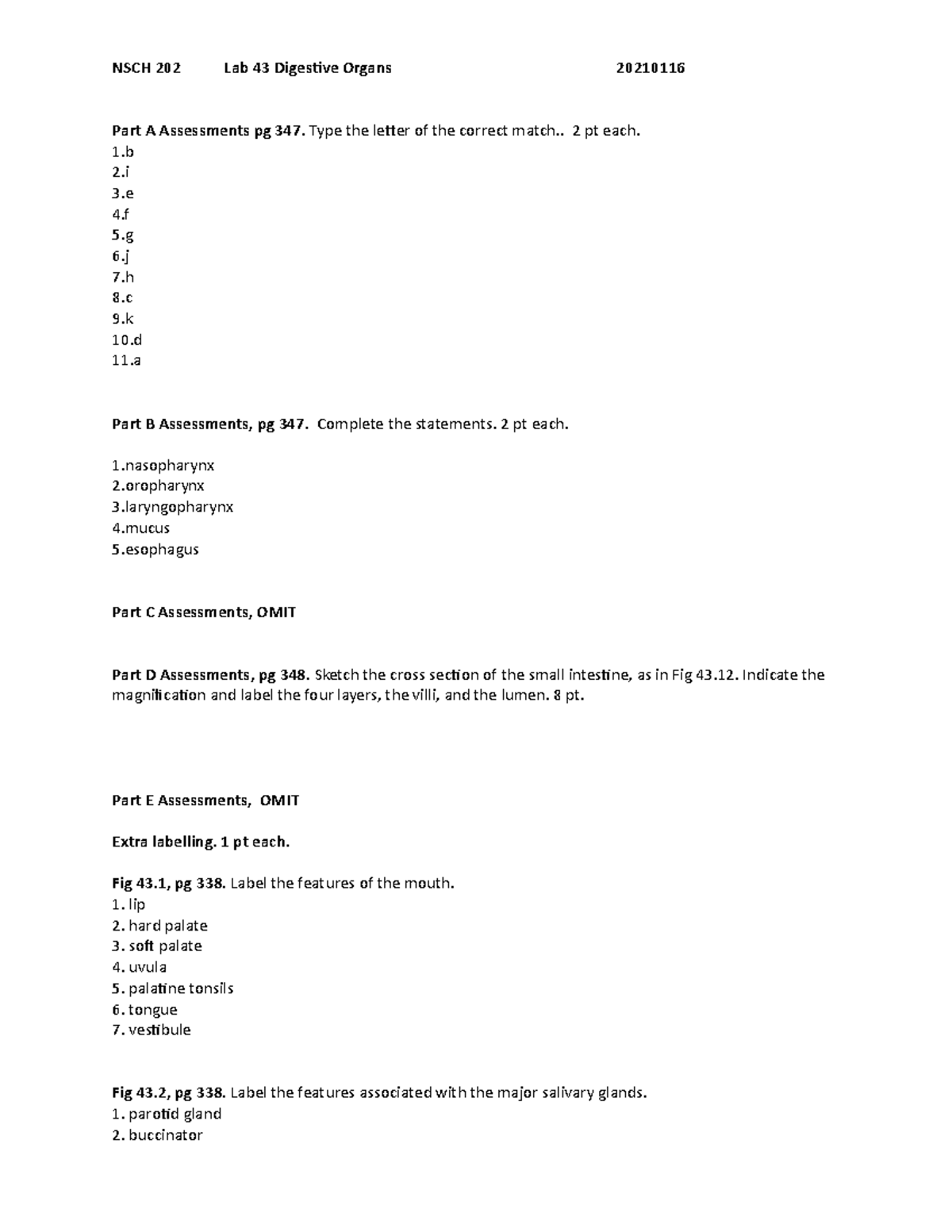 Lab 43a Digestive Organs - Type the letter of the correct match.. 2 pt ...