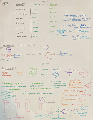 Video recap of dna replication by amoeba sisters - Amoeba Sisters Video ...