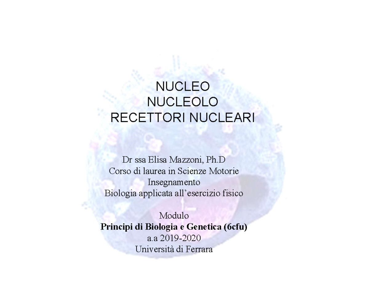 Nucleo nucleolo - RIASSUNTO DI FISICA e SCIENZE - NUCLEO NUCLEOLO ...