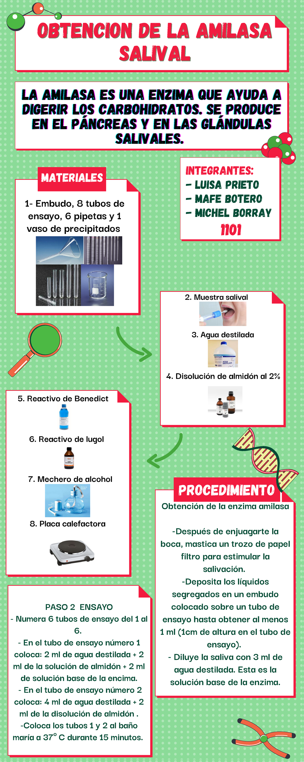 Obtencion DE LA Amilasa Salival - PASO 2 ENSAYO - Numera 6 tubos de ...