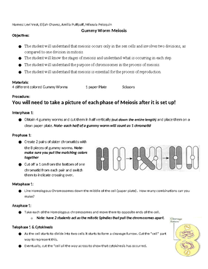 Thompson 580166 Biological Macromolecules and Enzymes Q - Biological ...