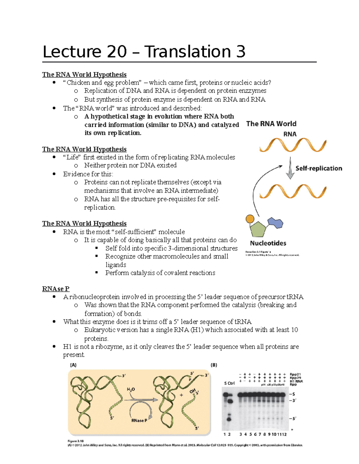 Lecture 20 - Translation 3 Summary Notes - Lecture 20 – Translation 3 ...