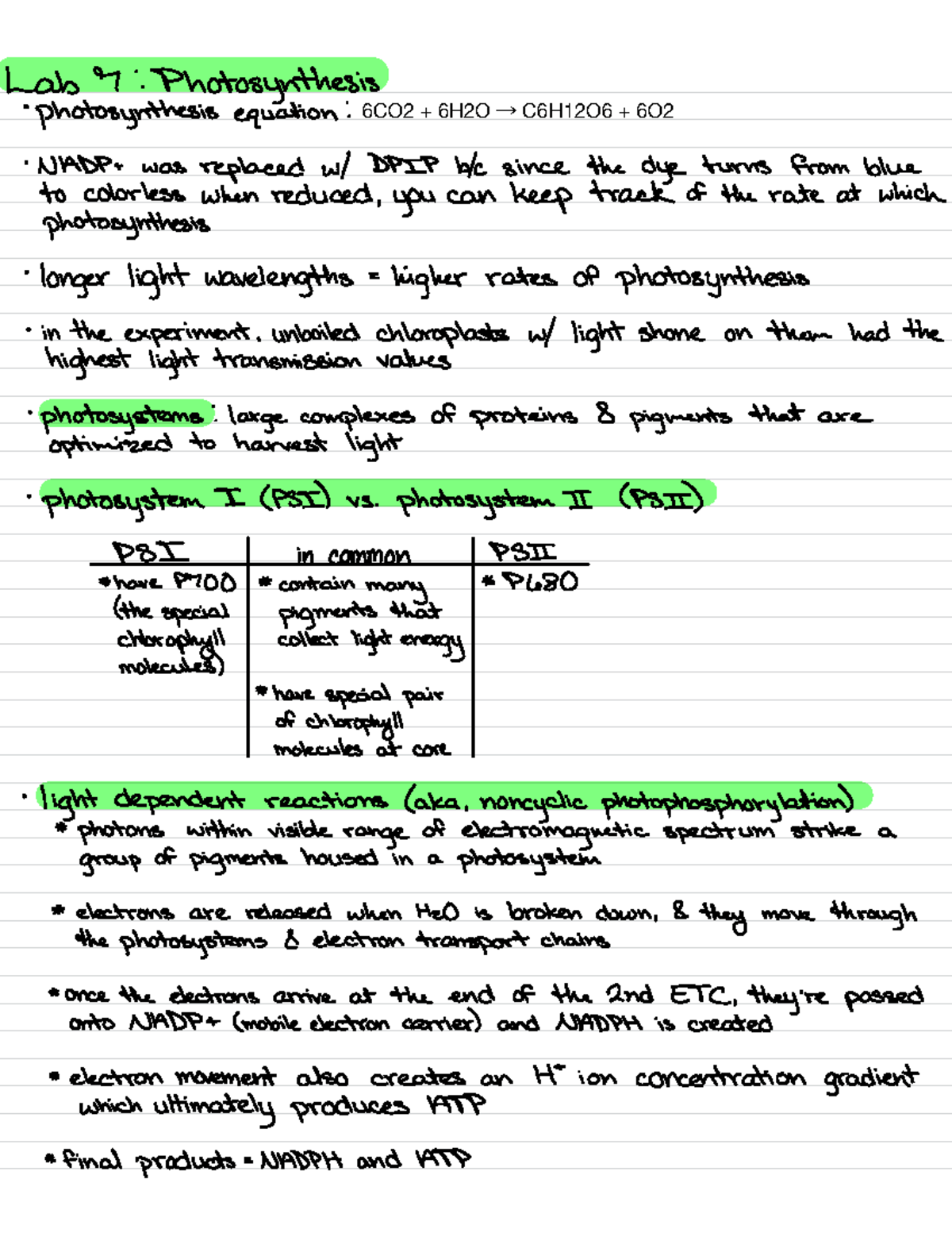 Lab 7- photosynthesis - Notes based on lab practical outline - 6CO2 ...