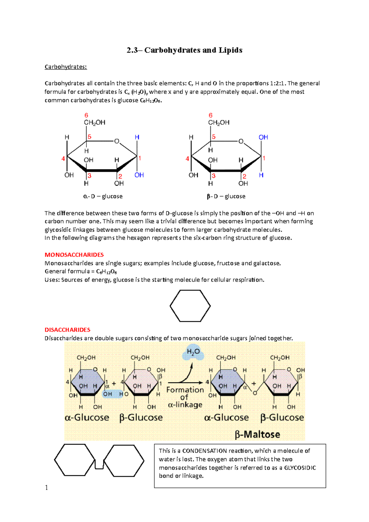 Carbohydrates and Lipids - 2– Carbohydrates and Lipids Carbohydrates ...
