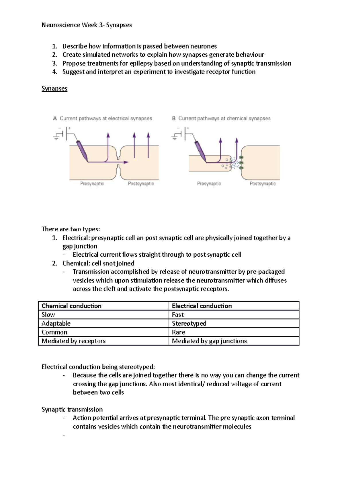 Week 3- synapses - ... - Describe how information is passed between ...