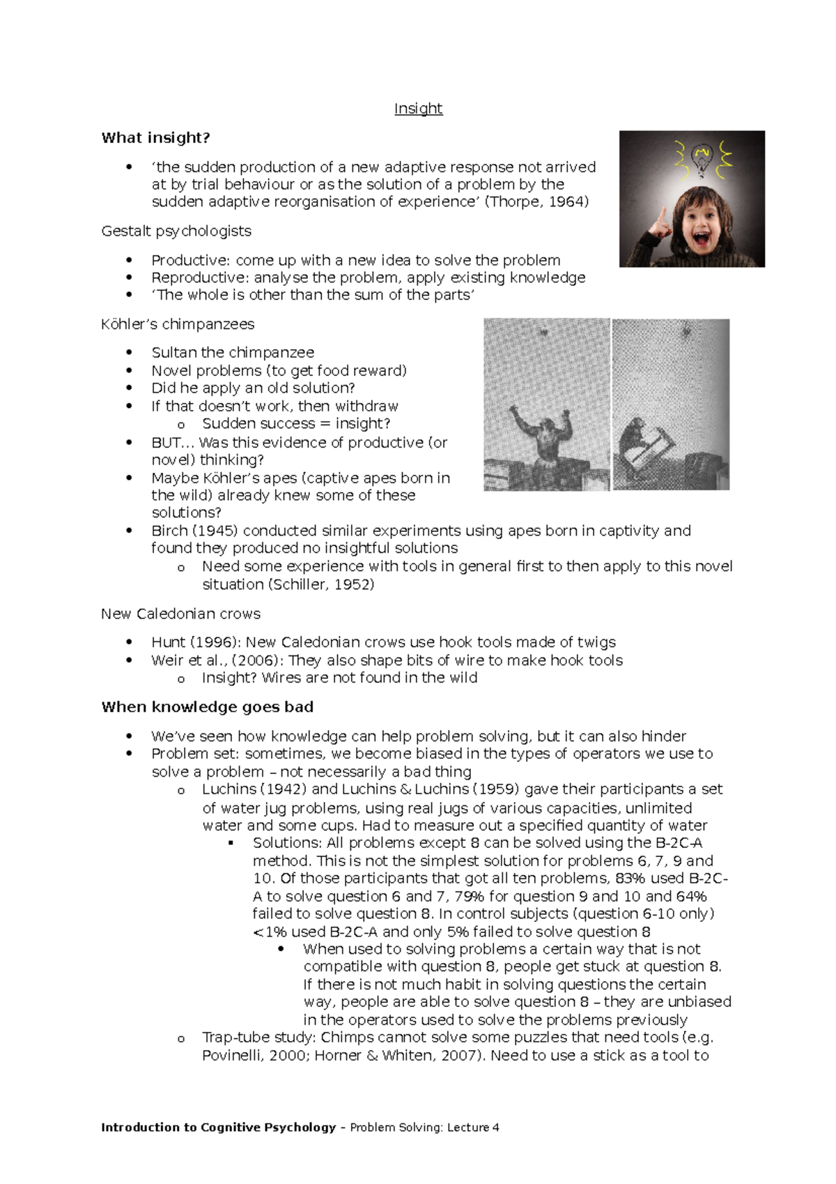 Problem solving - Insight - Insight What insight? ‘the sudden ...