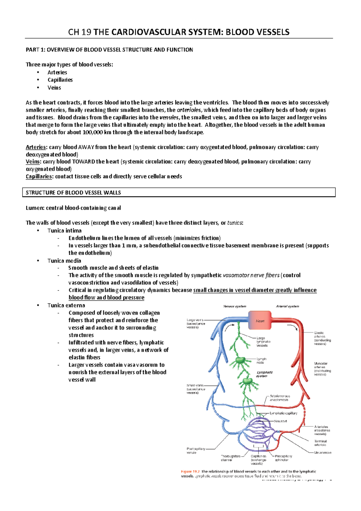 Summary - The Cardiovascular System - Blood Vessels (Ch19) - SHS111 ...