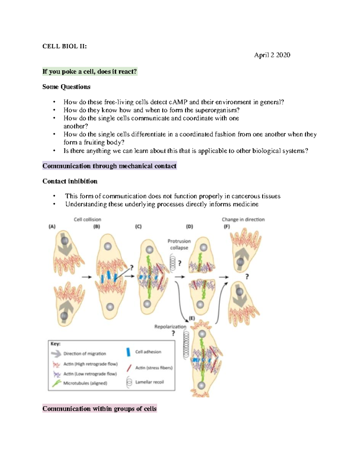 PART 1 of Lec 12 April 2 - CELL BIOL II: April 2 2020 If you poke a ...