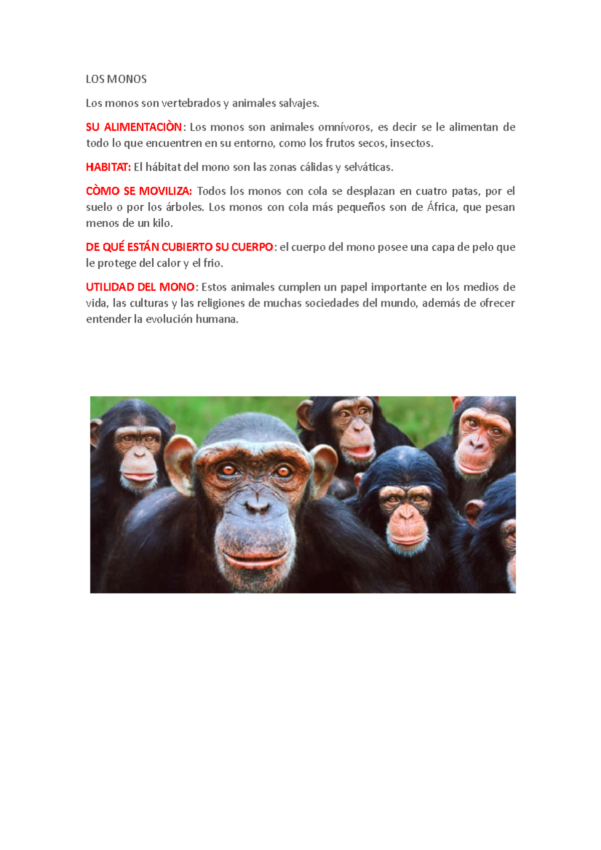 LOS Monos - caracteristicas - LOS MONOS Los monos son vertebrados y ...