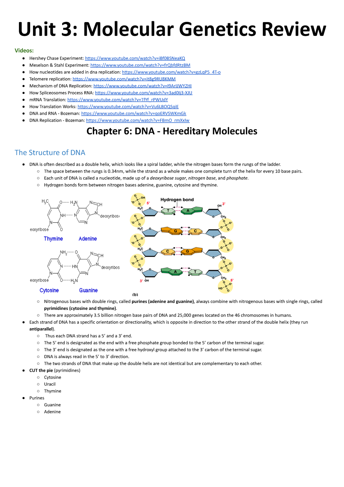 Unit 3 Molecular Genetics Review - Unit 3: Molecular Genetics Review ...