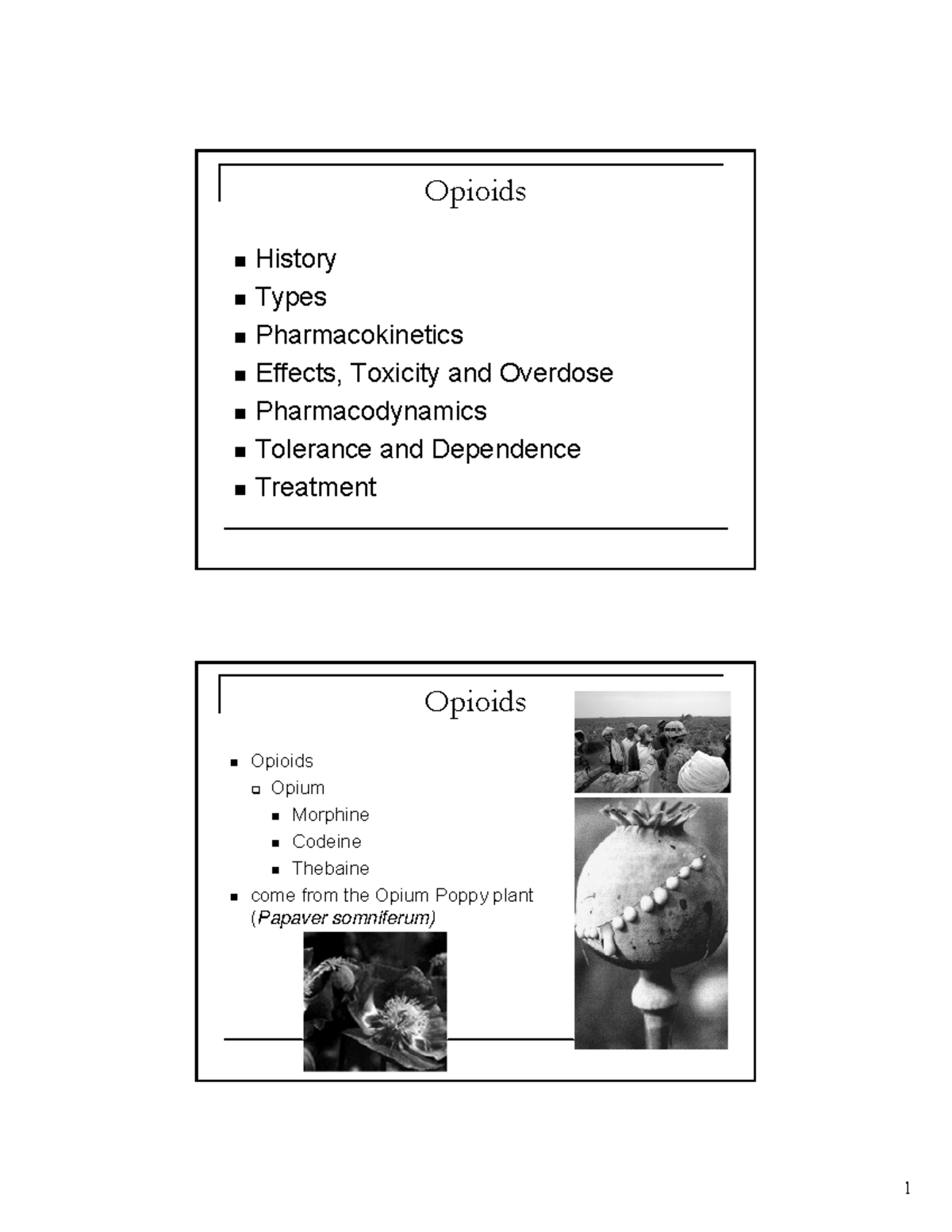 Opioids tues 6 - Matthew Cooper - Opioids History Types ...