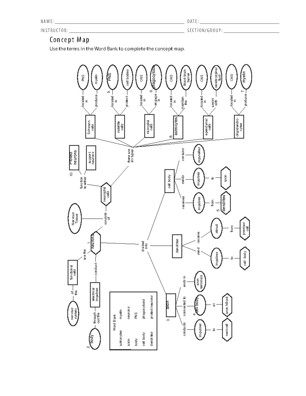 Laboratory 15 - Concept Map comp - N A M E : D AT E : I N S T R U C TO ...