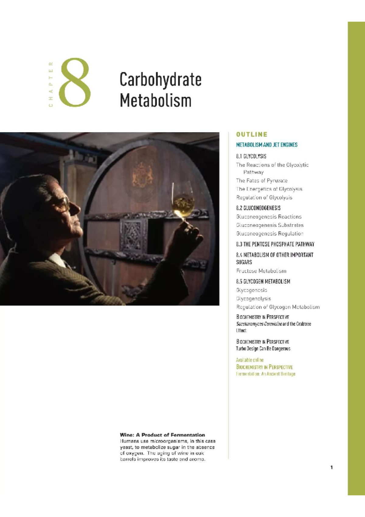 Carbohydrates metabolism 1 2048 - Biochemistry - Studocu