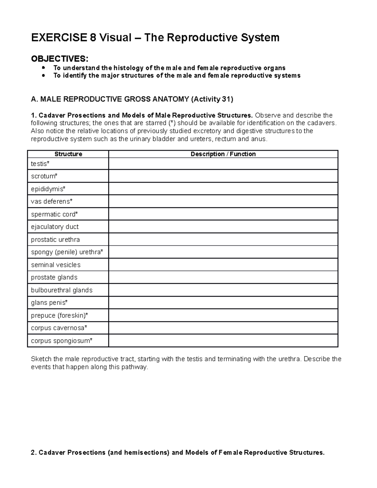 Exercise 8 Visual – The Reproductive System - EXERCISE 8 Visual The ...