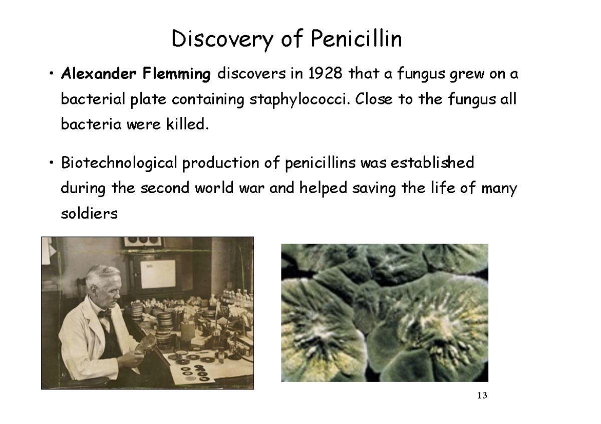 Med Chem 1 Intro-13-24 - Medicinal Chemistry - Discovery of Penicillin ...