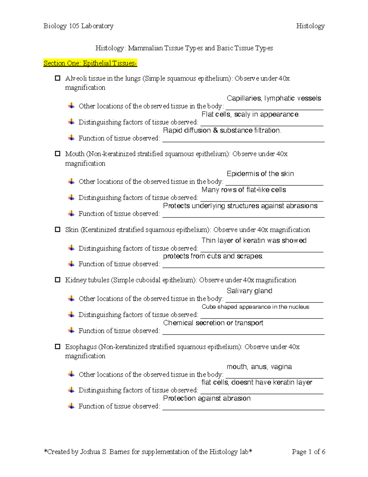 Histology Checklist (Updated) - Histology: Mammalian Tissue Types and ...