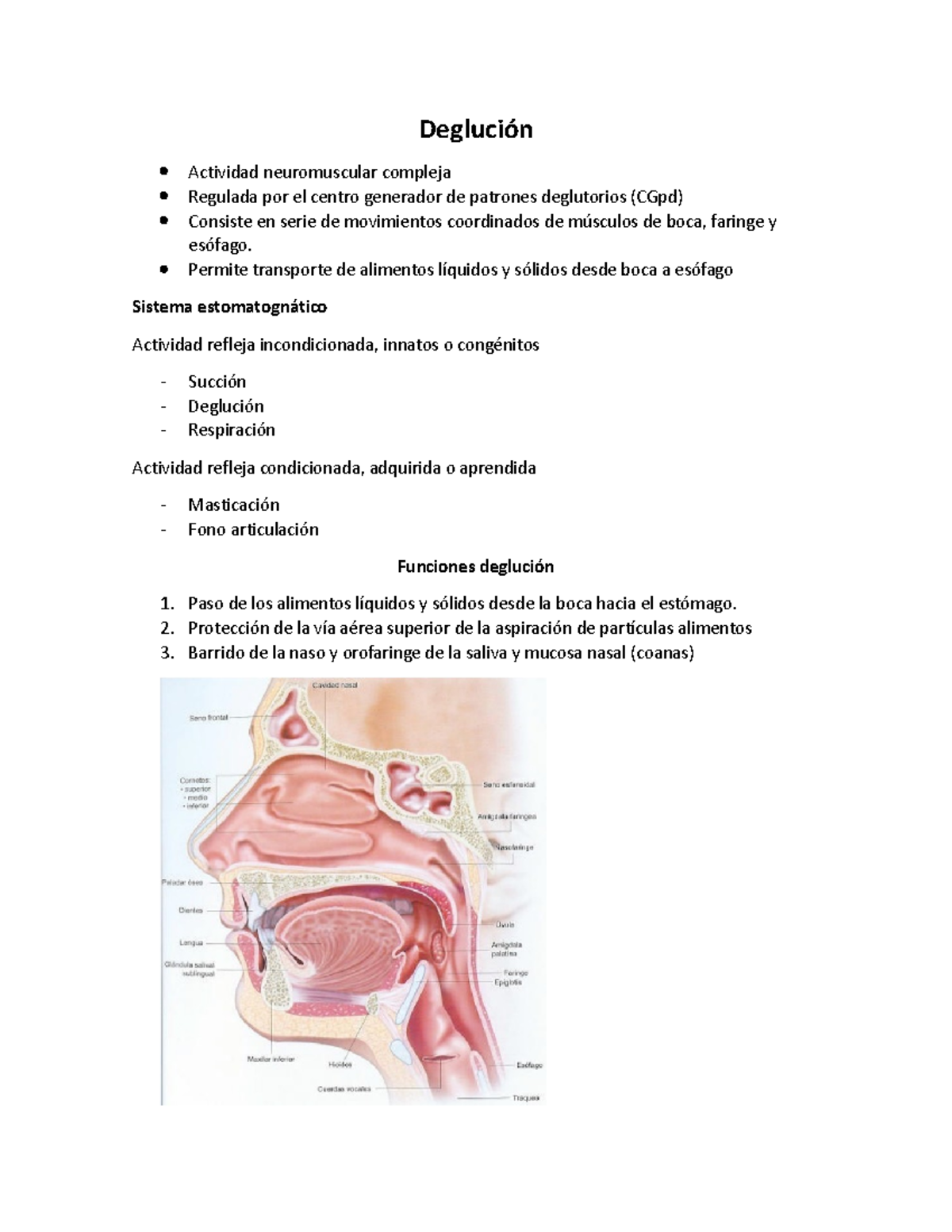 Deglución - Deglución Actividad neuromuscular compleja Regulada por el ...