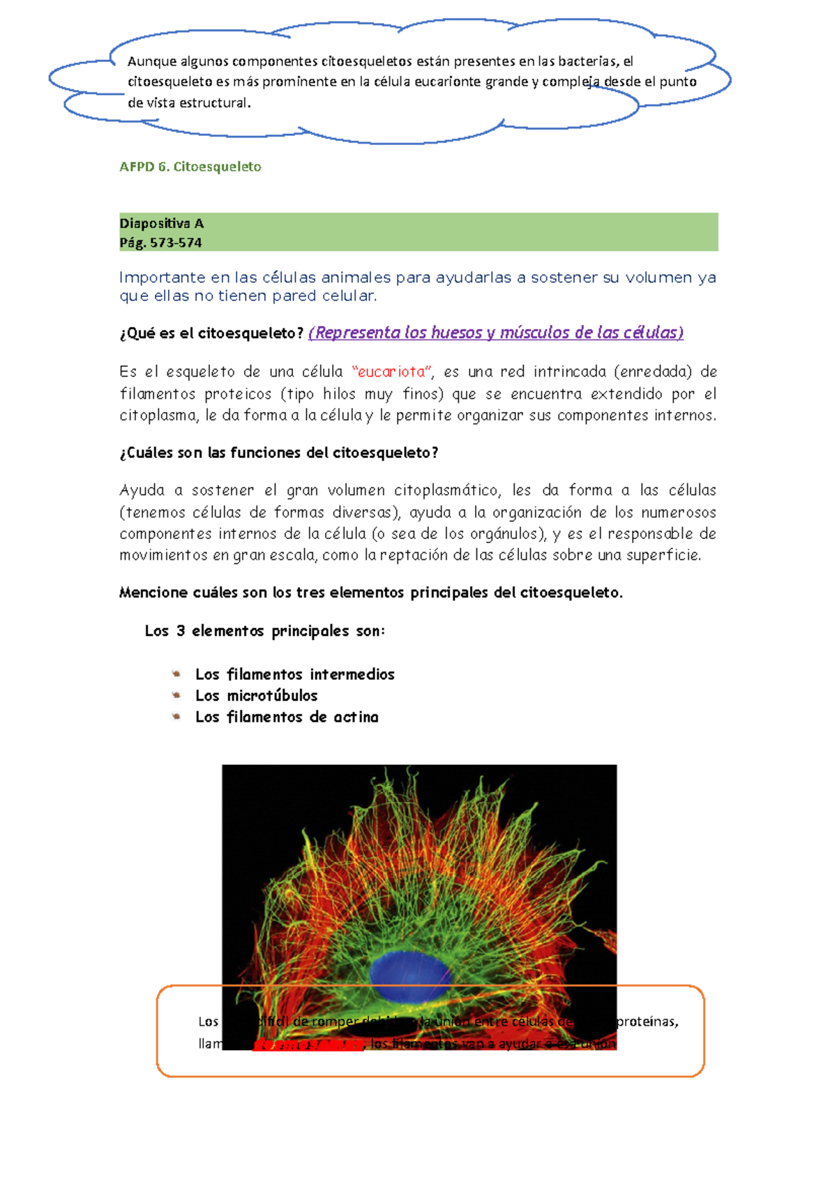 AFPD6. Citoesqueleto 2022 - AFPD 6. Citoesqueleto Diapositiva A Pág ...