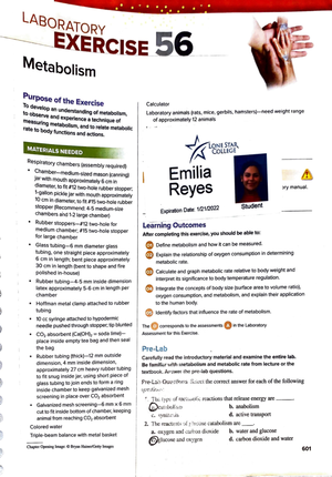 Lab 54 - Lab - LABORATORY _EXERCISE Digestive Organs Purpose of the ...