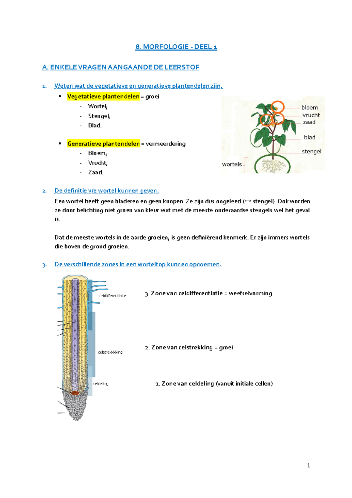 8. morfologie - deel 1 - 8. MORFOLOGIE - DEEL 1 A. ENKELE VRAGEN ...