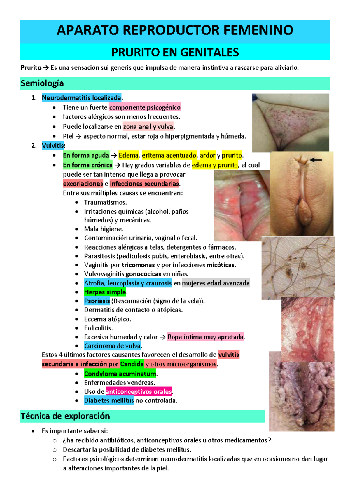 Semiologia Genitales Femenino Parte 1 Aparato Reproductor Femenino