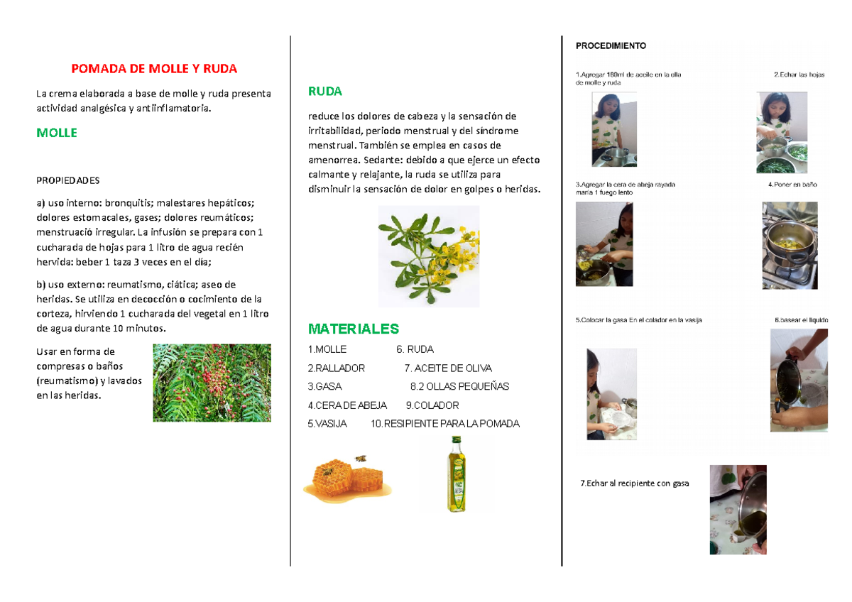 Triptico SA - sdfsd - POMADA DE MOLLE Y RUDA La crema elaborada a base de molle y ruda presenta ...