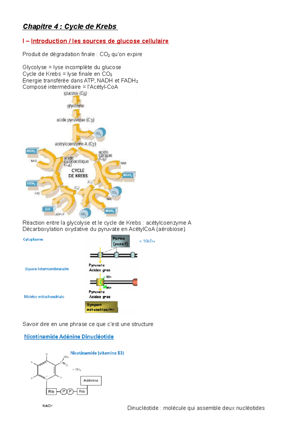 Cours cycle de krebs - Chapitre 4 : Cycle de Krebs I – Introduction ...