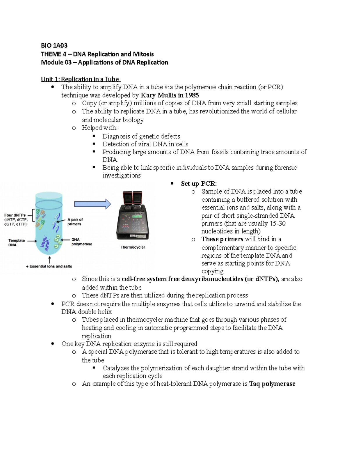BIO 1A03 - Theme 4 Module 3 - BIO 1A THEME 4 – DNA Replication and ...