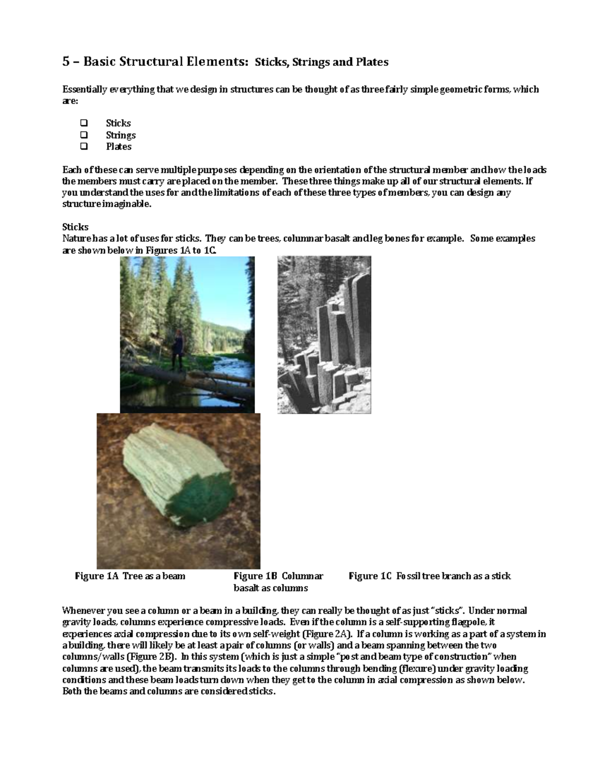 5 Basic Structural Elements - Sticks Strings and Plates - These three ...