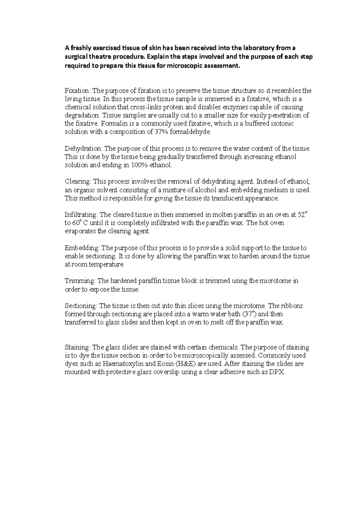 Tissue Processing Histopayhology - A freshly exercised tissue of skin ...