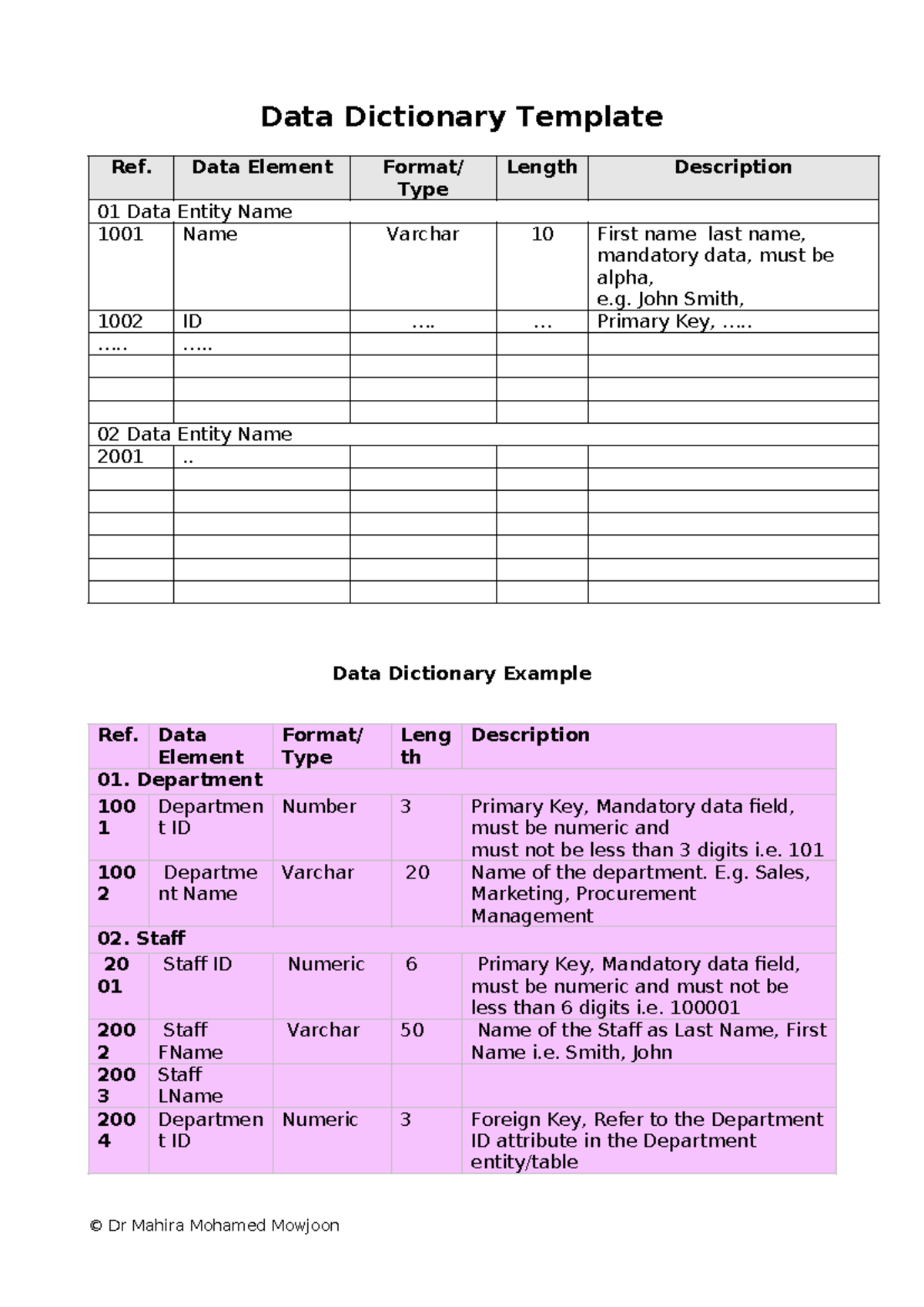 Data Dictionary Template Data Element Format Type Length Description 01 Data Entity Name 1001