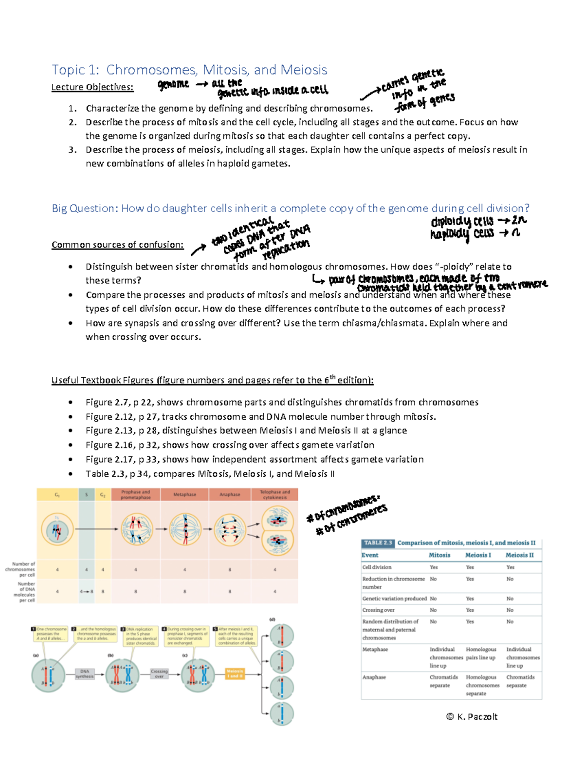 BSCI222 Topic 1 Study Outline - Topic 1: Chromosomes, Mitosis, and ...
