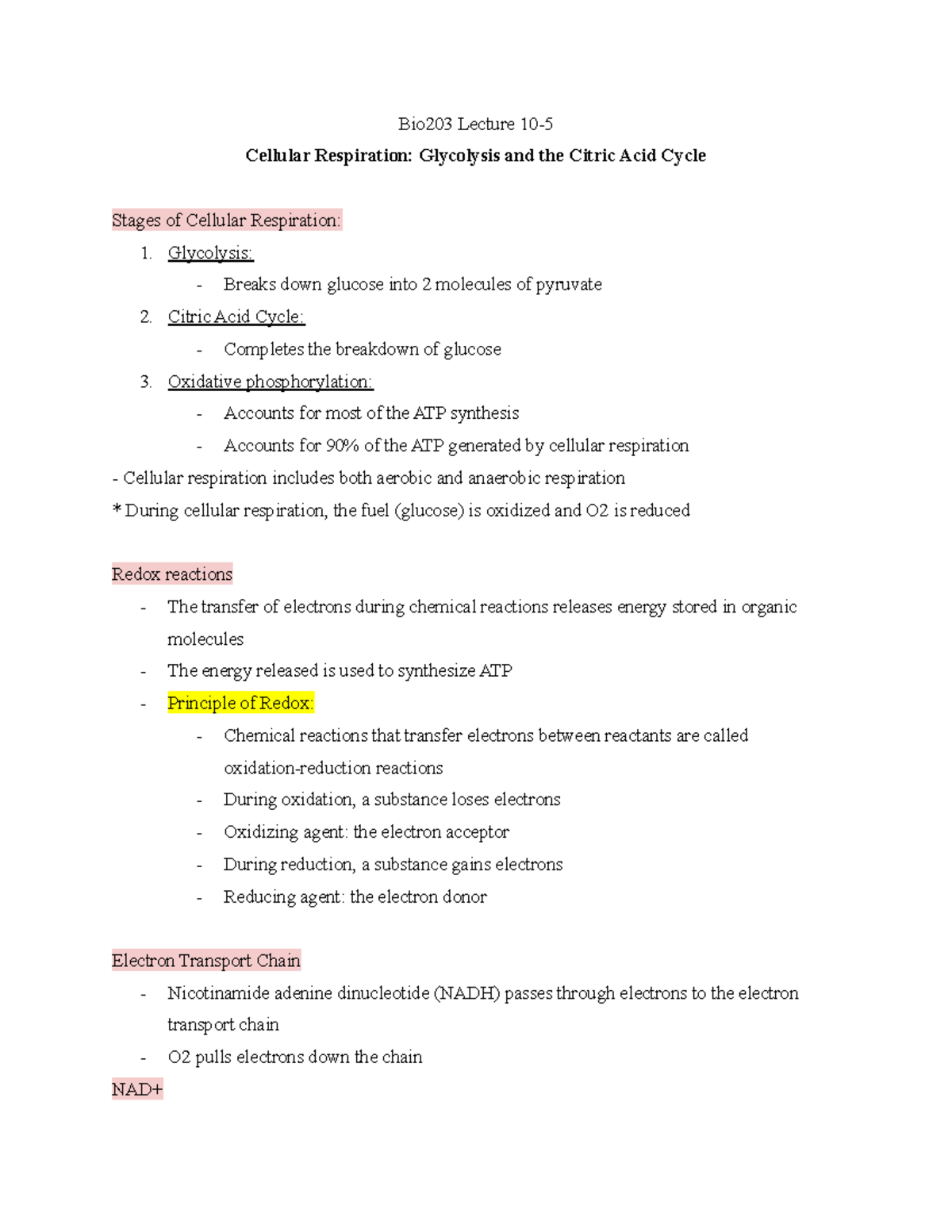 Bio 203 Cellular Respiration - Lecture Notes - Bio203 Lecture 10 ...