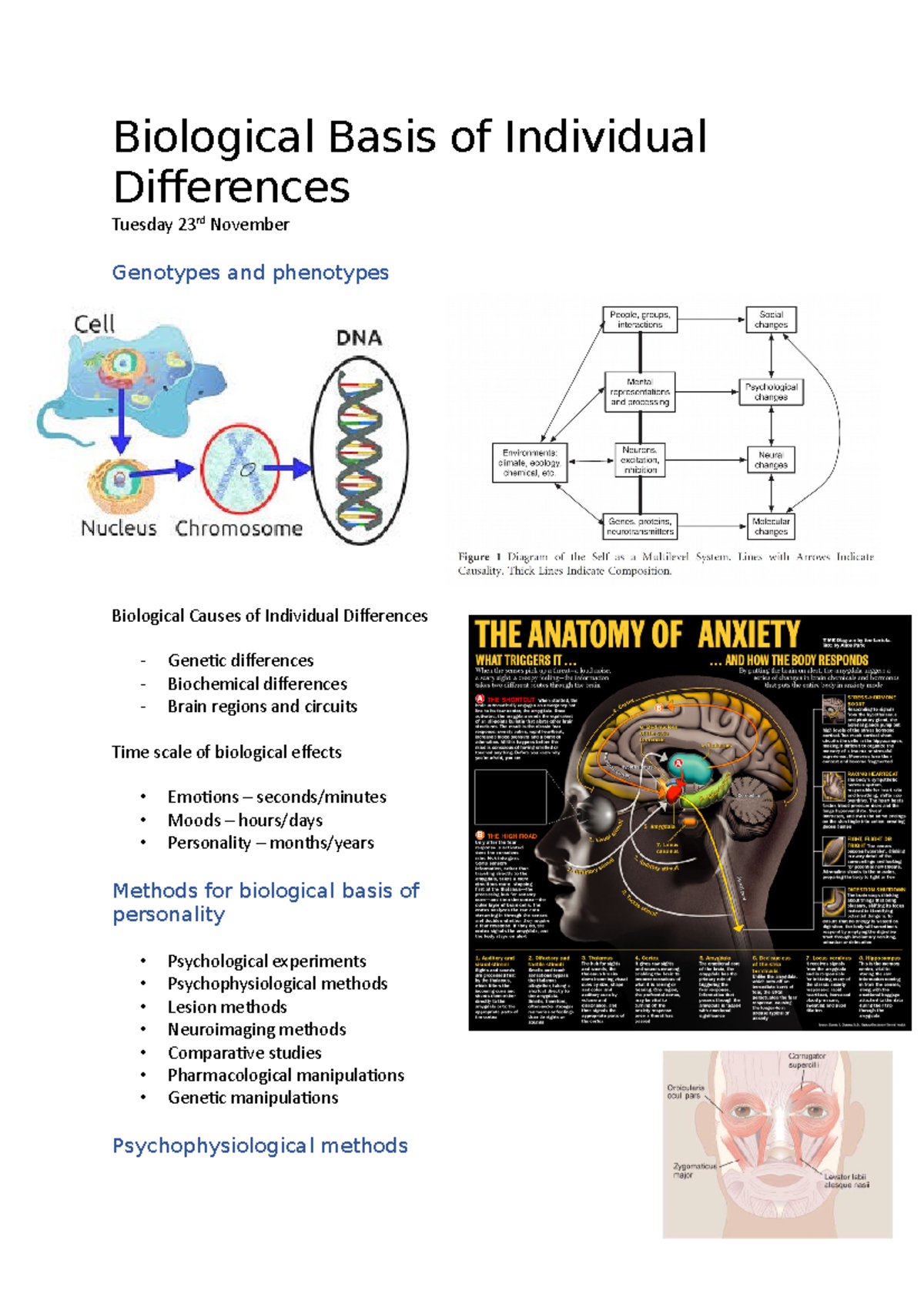 Biological Basis of Individual Differences - Studocu