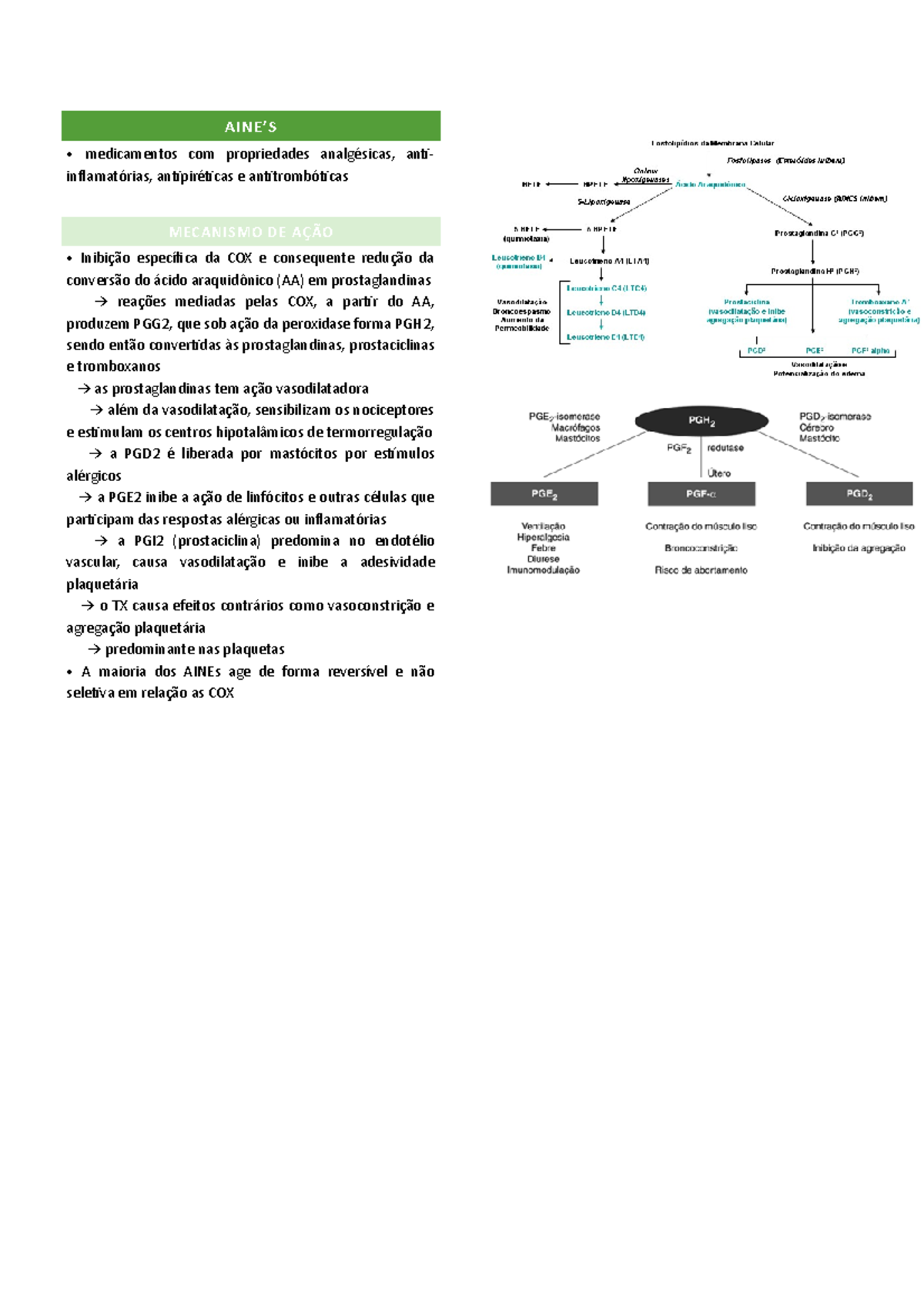 Aines - Anti-inflamatórios não esteroides - AINE’S medicamentos com ...