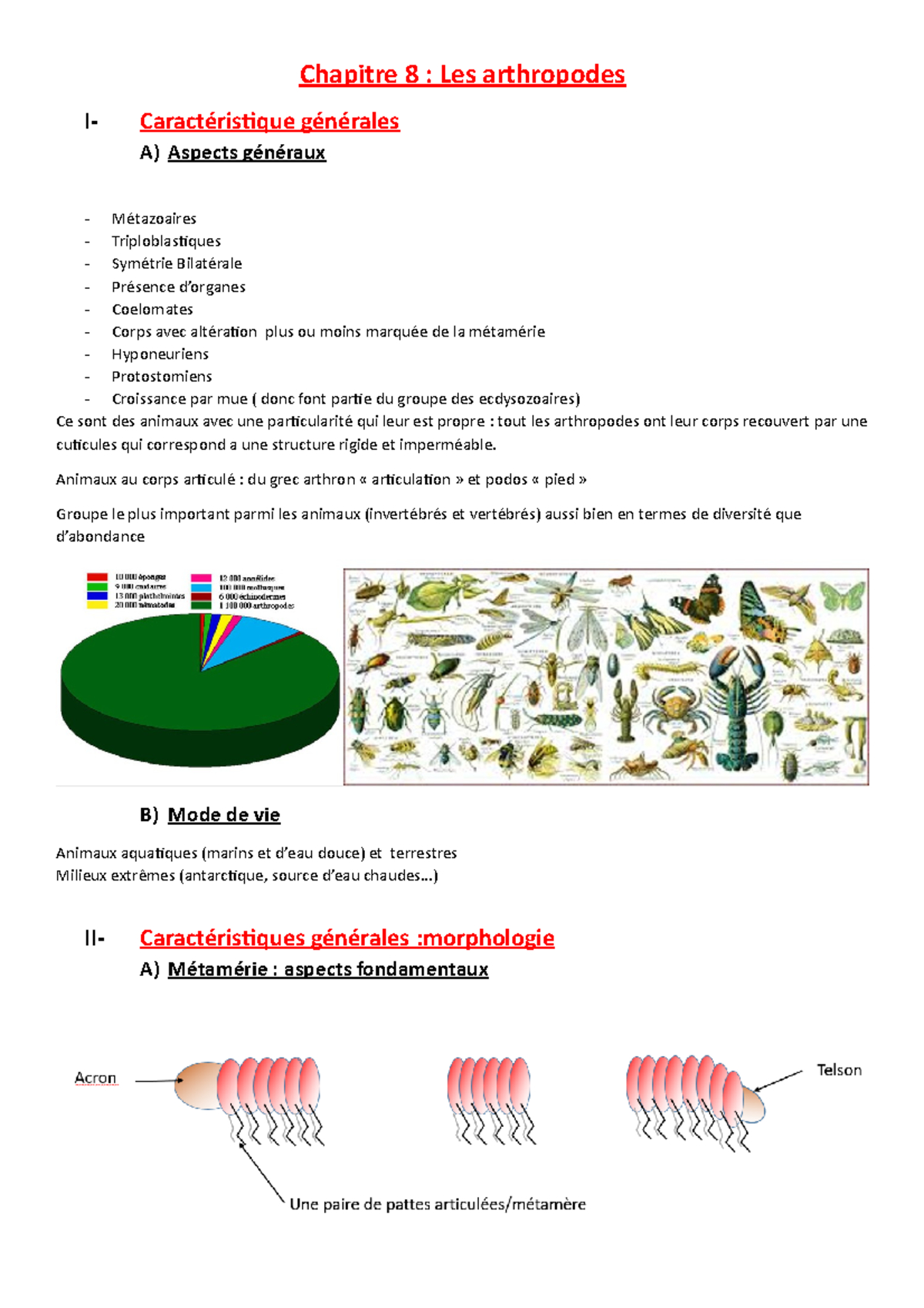 Chap 8 les arthropode - boa cours CBSVT L1 - Chapitre 8 : Les ...