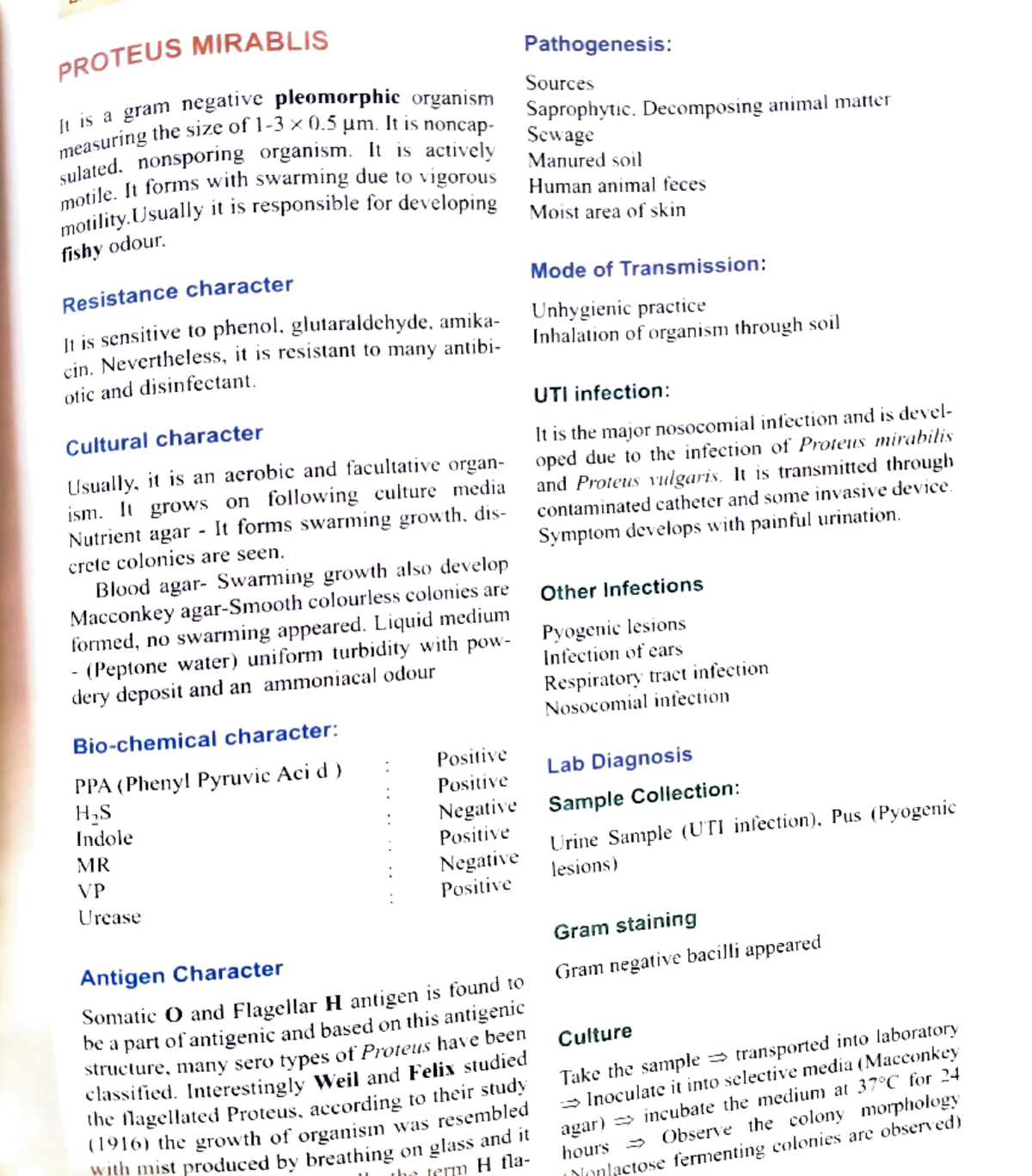 Proteus.very important subject fir nursing students . - PROTEUS ...