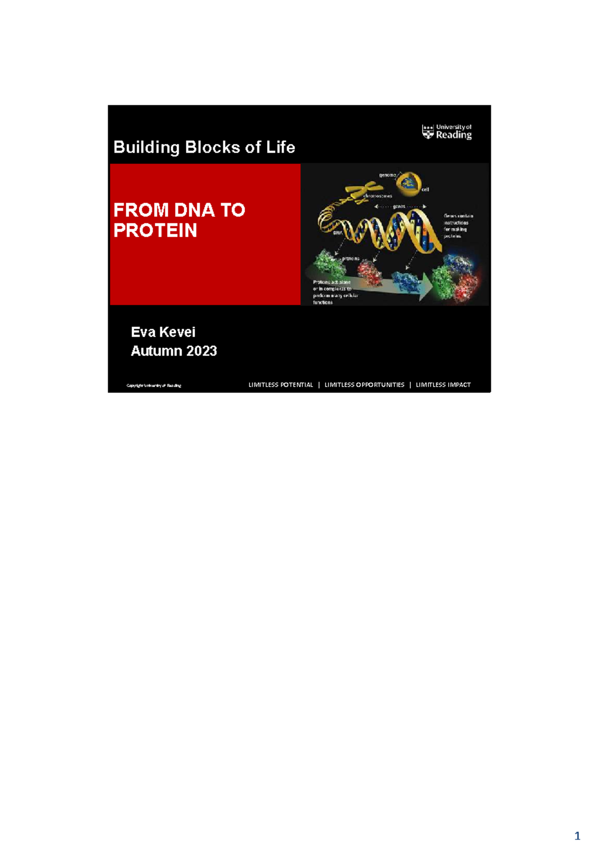 Week 4 Building blocks - MEOW - Copyright University of Reading ...