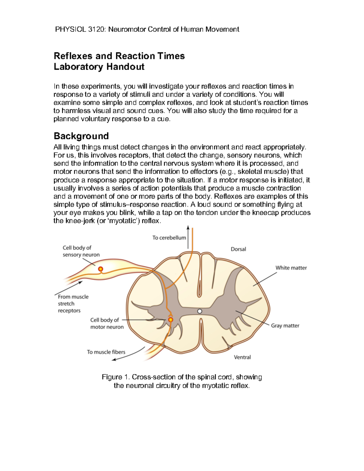 Reflex Laboratory Handout - Page 1 of 6 ©2007 ADInstruments Reflexes ...