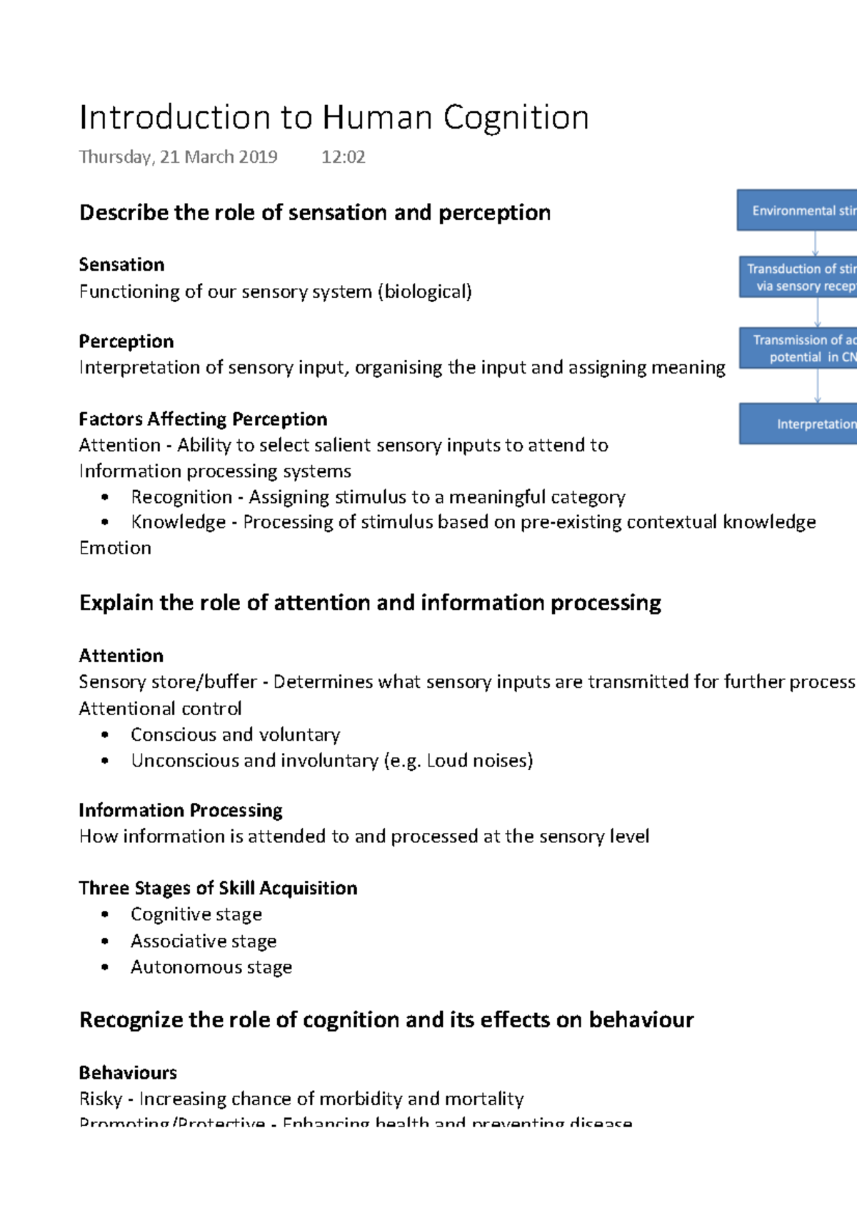 Introduction to Human Cognition - Describe the role of sensation and ...