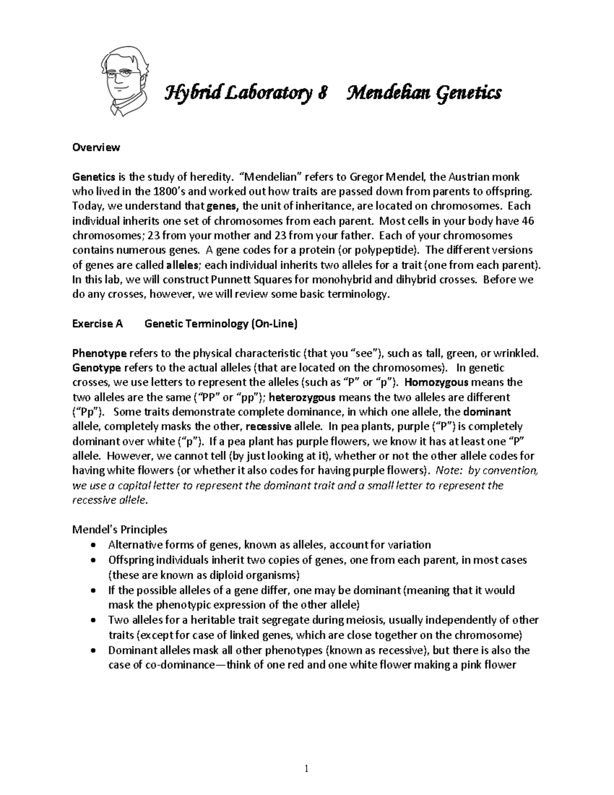 BIO 101 Lab 8 Genetics Sprint 2021b - Overview Genetics is the study of ...