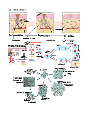 Sept 12th prep- Cells - Professor: Amanda Haage - —-C7 & C8. Membrane ...