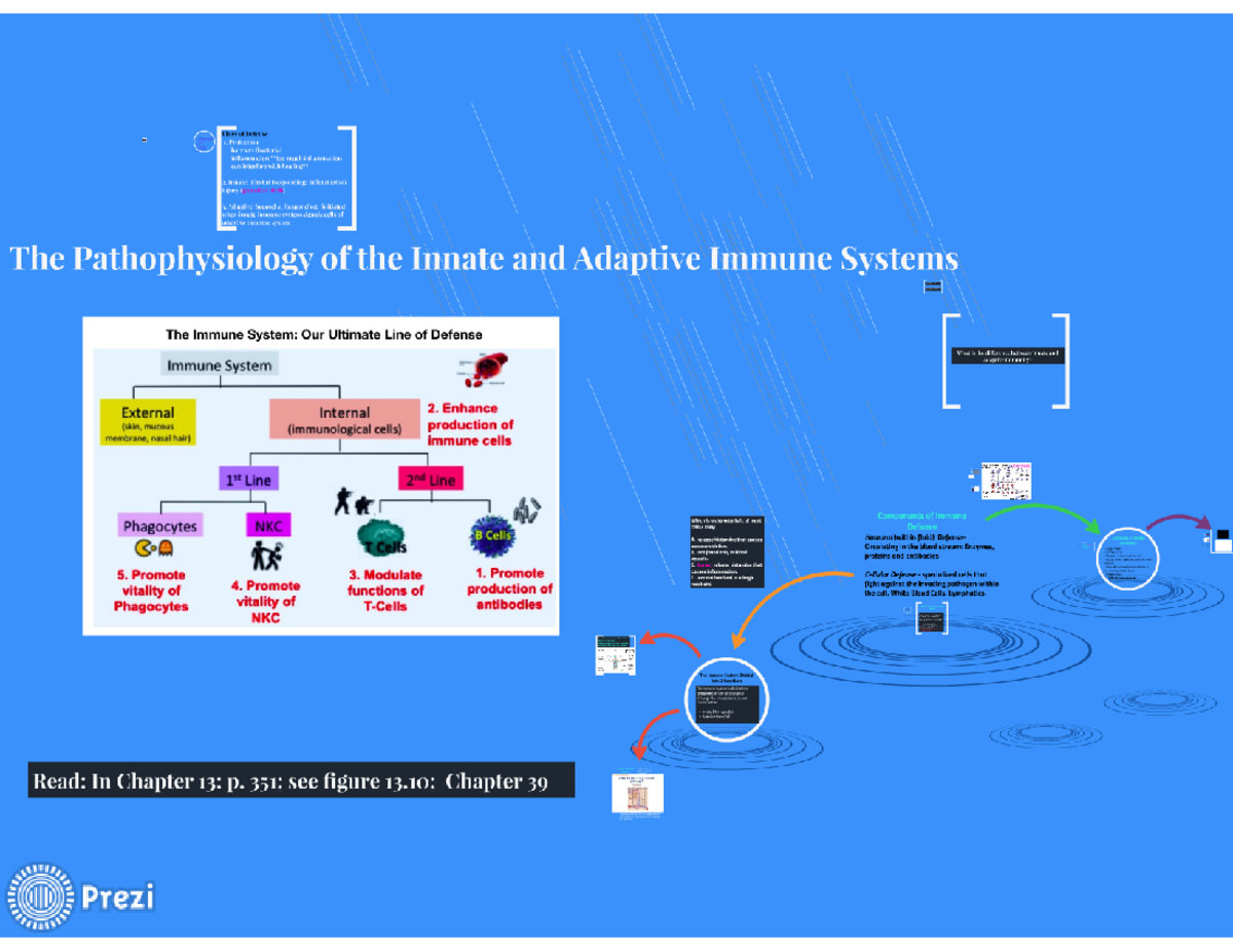 Innate and Adaptive Immunity Lecture Handout - NURS 208 - Studocu