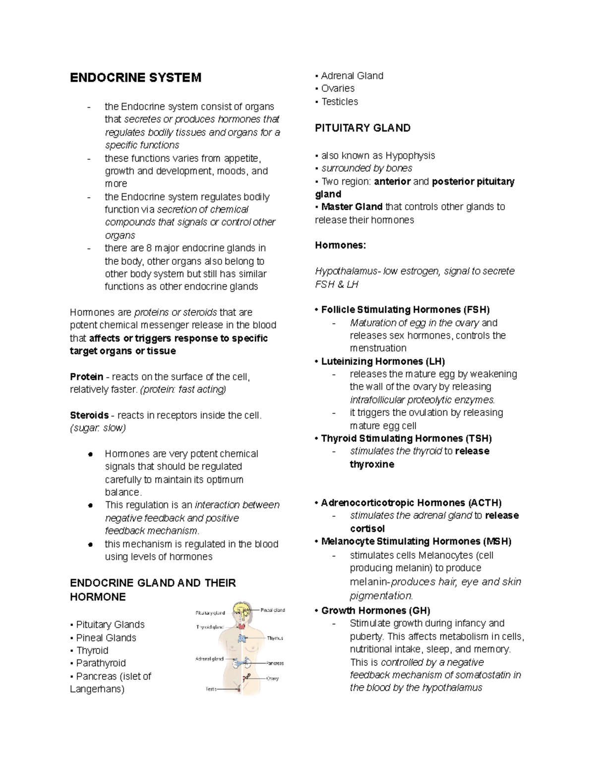 Endocrine System - (protein: fast acting) Steroids - reacts in ...