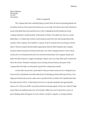 CJ 310 Project Two Template - Running head: SECURITY ANALYSIS REPORT 1 ...